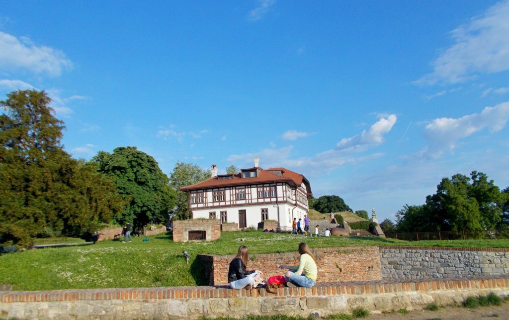 Μπιφτεκάκια Leskovac (Σερβία) | Food Collection