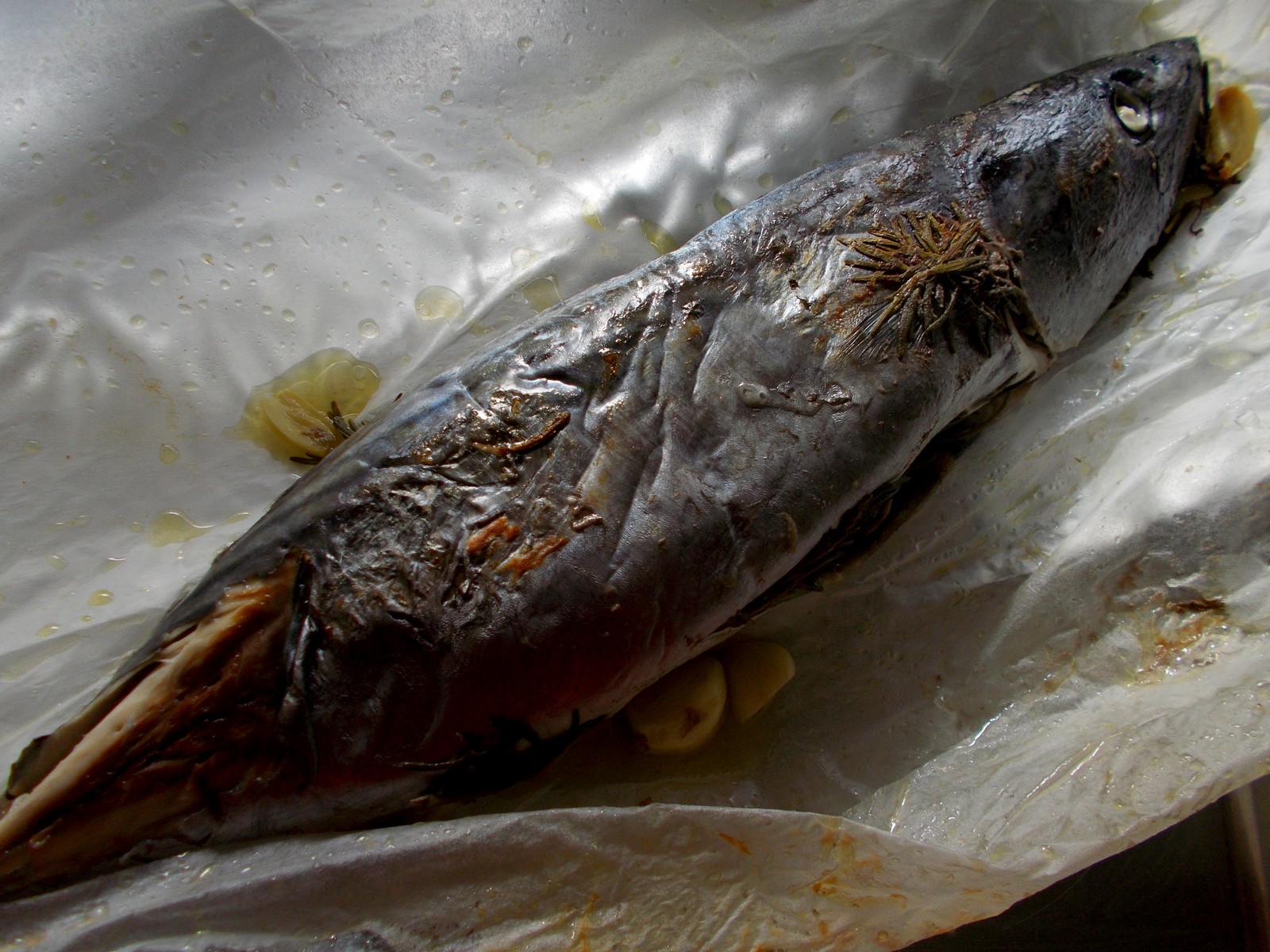 Παλαμίδα σκορδολεμονάτη φούρνου | Food Collection