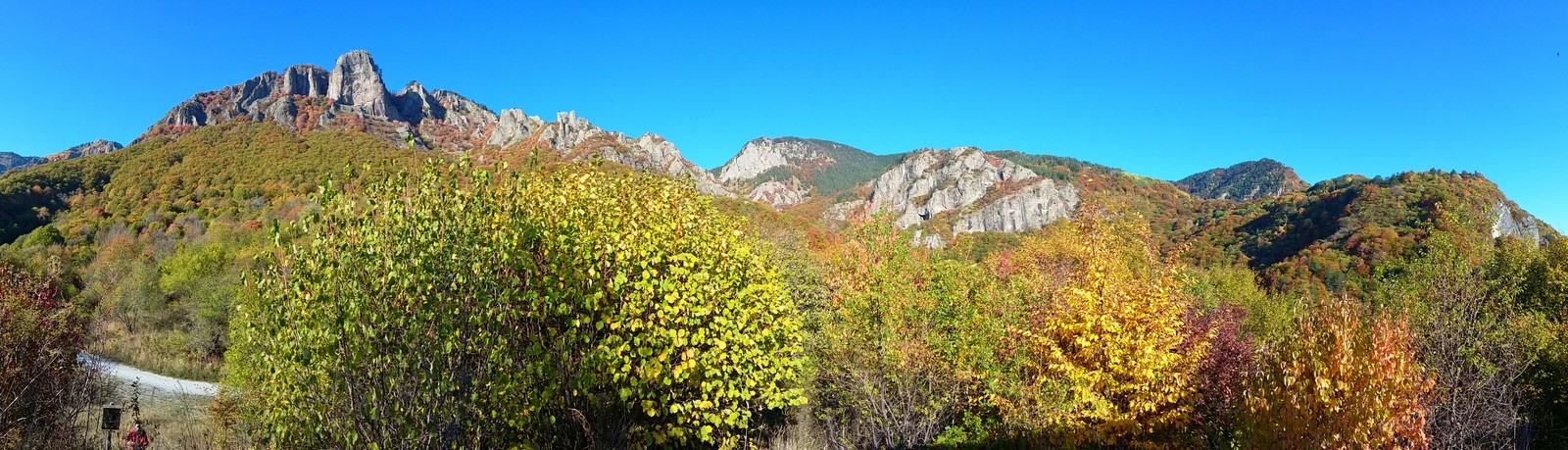 Πισία τα ποντιακά | Food Collection