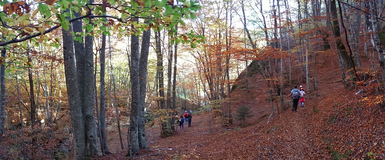 Πισία τα ποντιακά | Food Collection