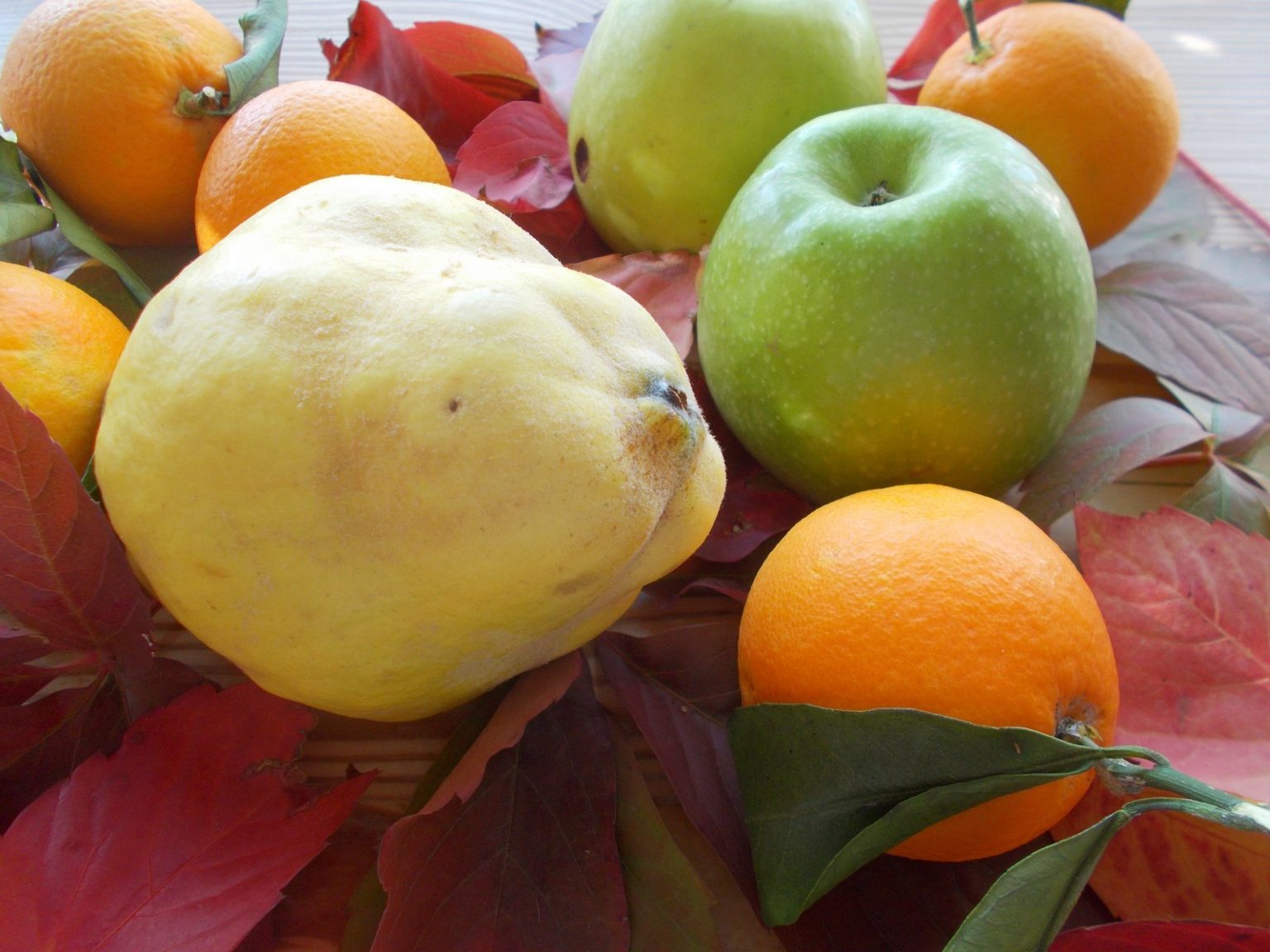 Μαρμελάδα των τριών φρούτων και της συμφοράς... | Food Collection